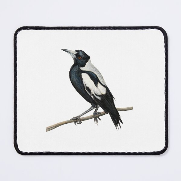 Magpie Drawing