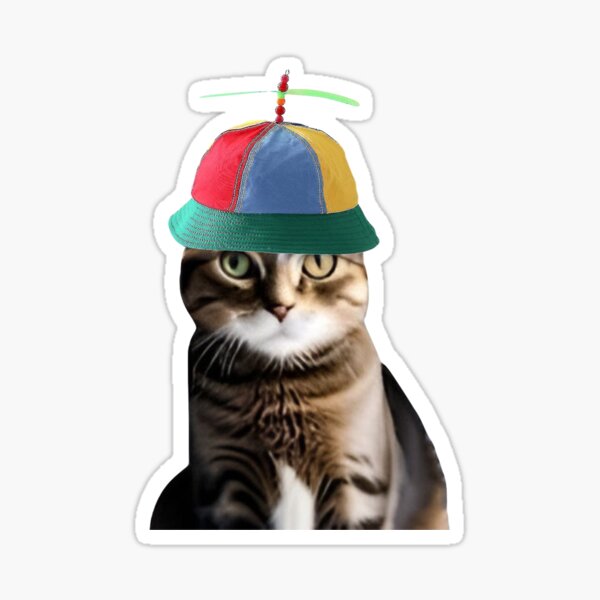 Dogwifhat Merch & Gifts for Sale | Redbubble