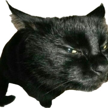 "Sus Cat" Sticker for Sale by Hunter3773 | Redbubble