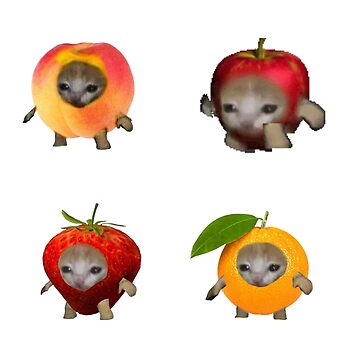"Fruit cats meme pack " Sticker for Sale by Eternallykawaii | Redbubble
