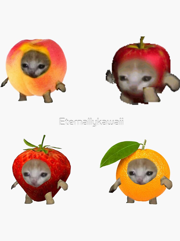"Fruit cats meme pack " Sticker for Sale by Eternallykawaii | Redbubble