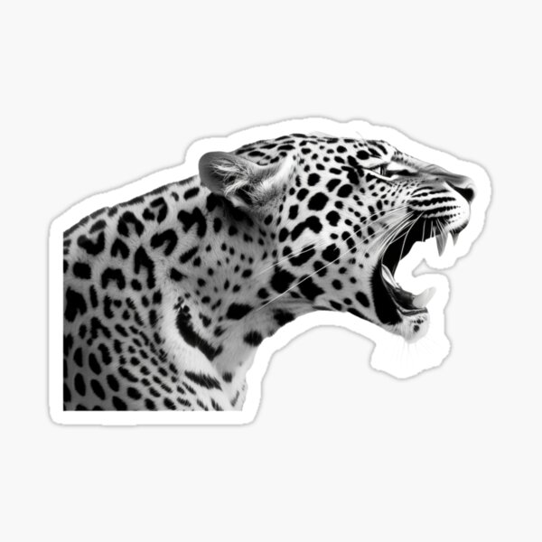 "Fierce Leopard In Black and White, Aesthetic, Modern, Animal" Sticker ...