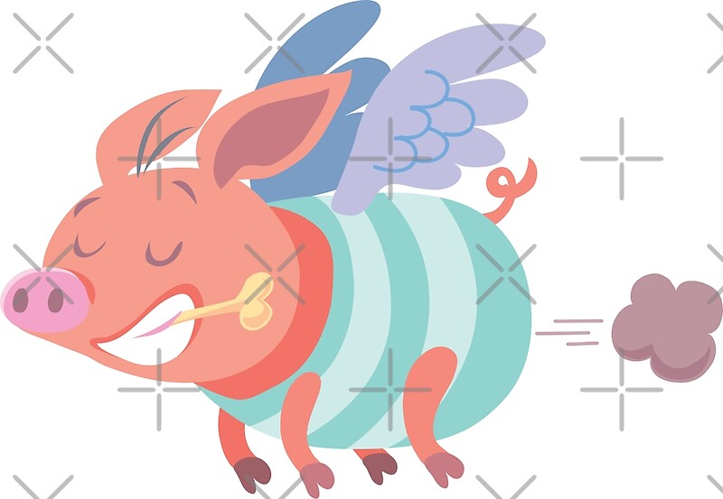 "flying pig farts" by duxpavlic | Redbubble