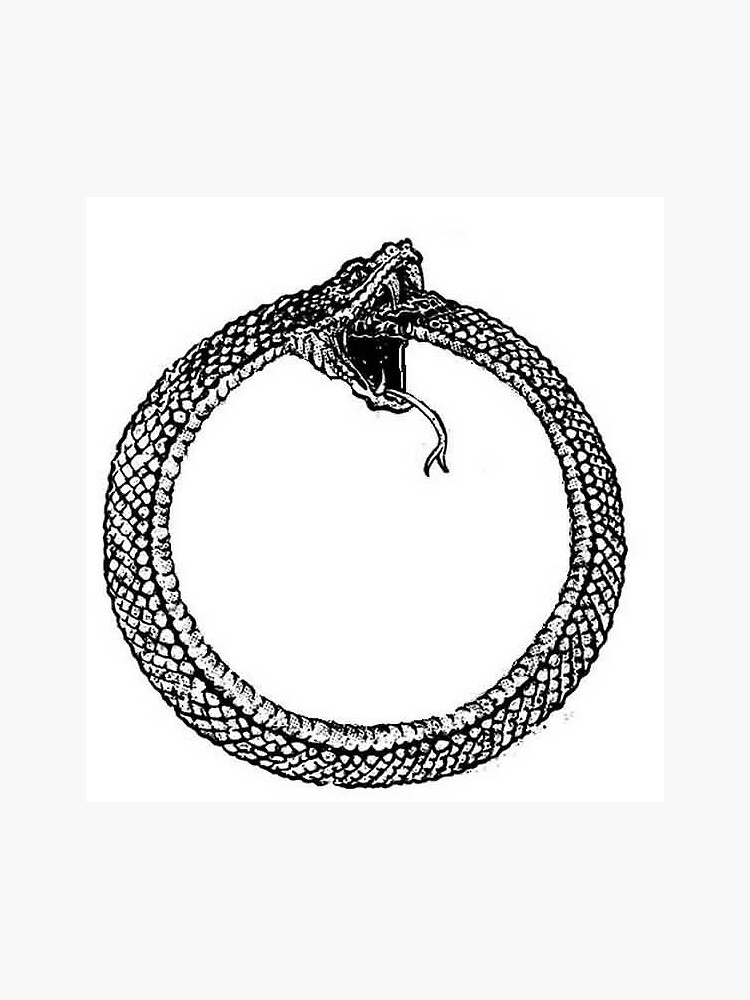 "The holy ouroboros " Sticker for Sale by Finn Meier | Redbubble