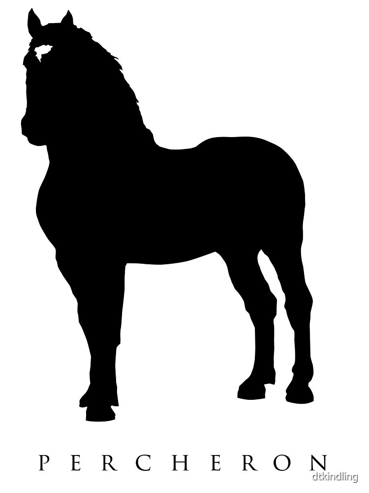 "Percheron" Canvas Print by dtkindling | Redbubble