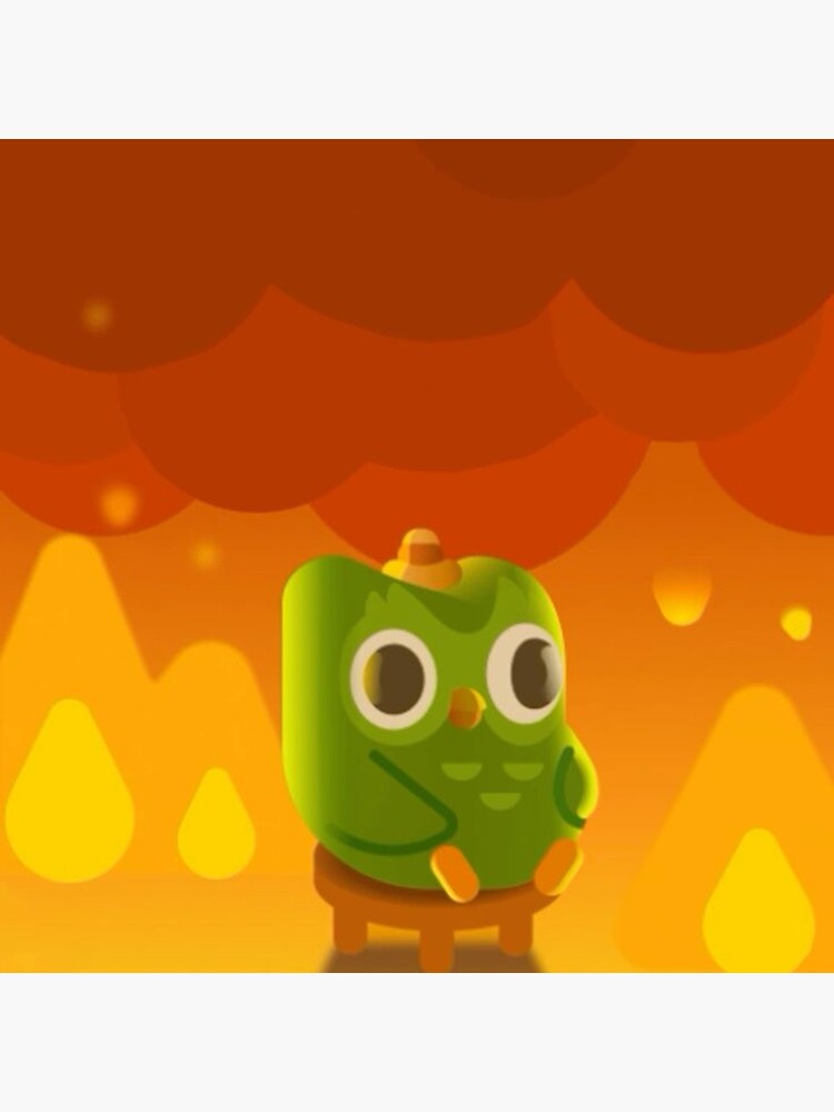 Duolingo Merch & Gifts for Sale | Redbubble