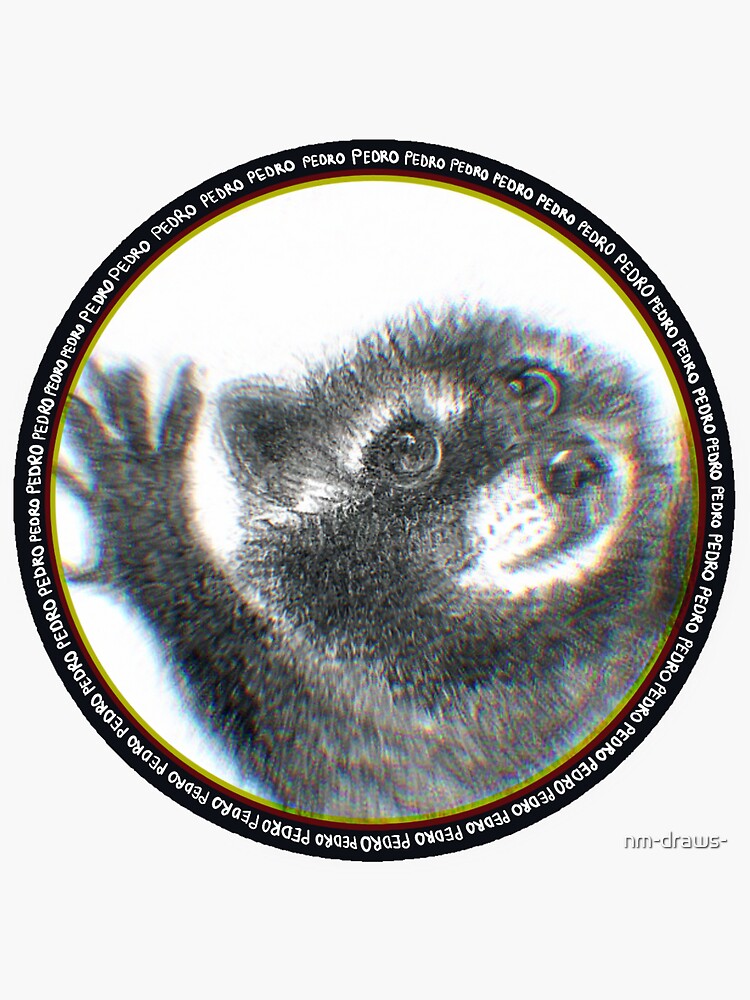 "Pedro Pedro Pedro!" Sticker for Sale by nm-draws- | Redbubble
