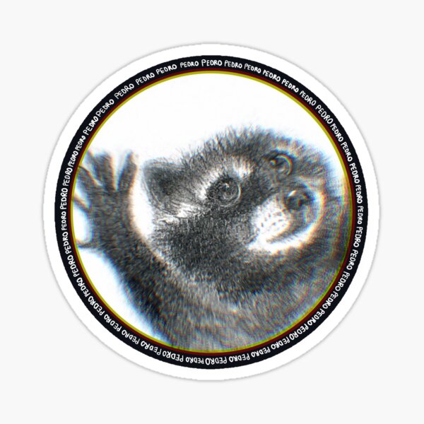 "Pedro Pedro Pedro!" Sticker for Sale by nm-draws- | Redbubble