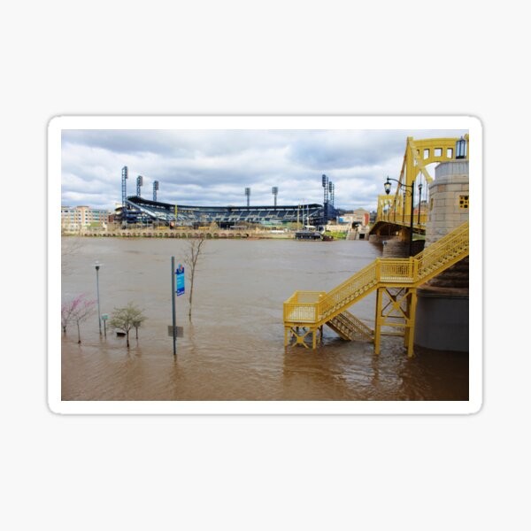 "Flooding in Pittsburgh 2024" Sticker for Sale by Susan Weber-Tacey ...