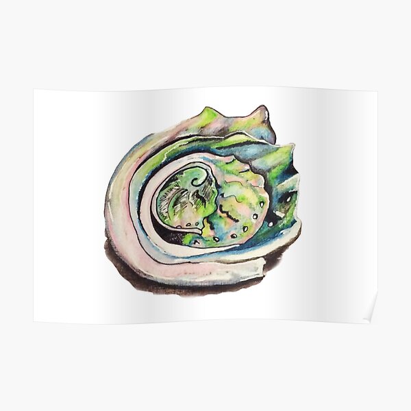 "Abalone" Poster by Coota-Art | Redbubble