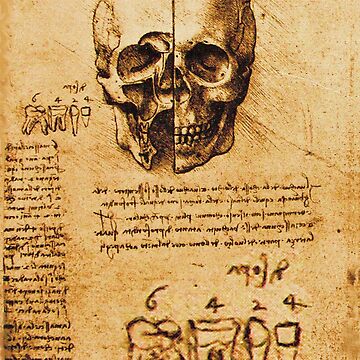 "SKULL AND TEETH ,DENTAL PARCHMENT Leonardo Da Vinci" Art Board Print ...