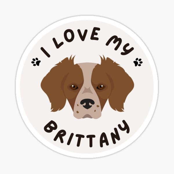 Brittany Merch & Gifts for Sale | Redbubble