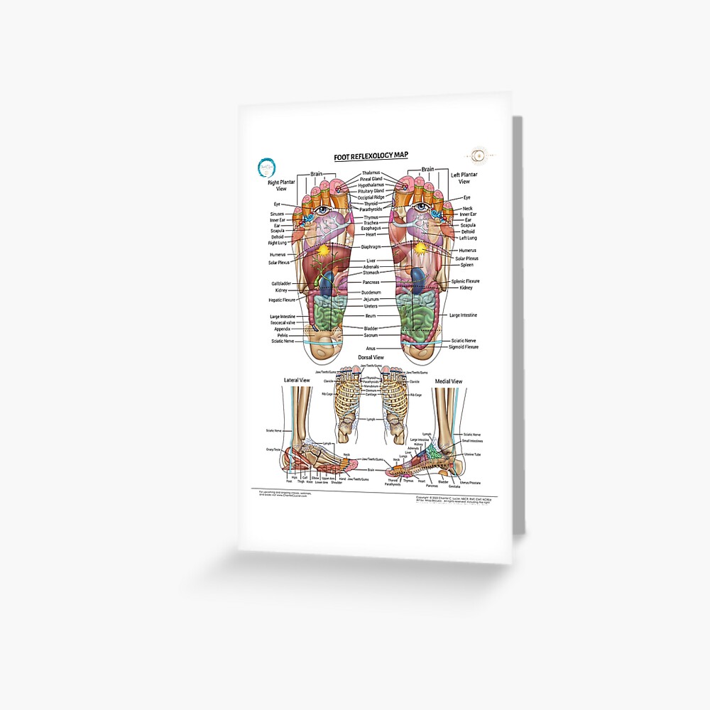 "Foot Reflexology Map" Poster for Sale by ChantelCLucier | Redbubble