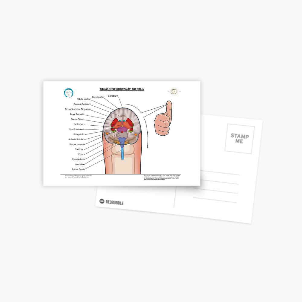 "Thumb Reflexology Map: The Brain" Photographic Print for Sale by ...