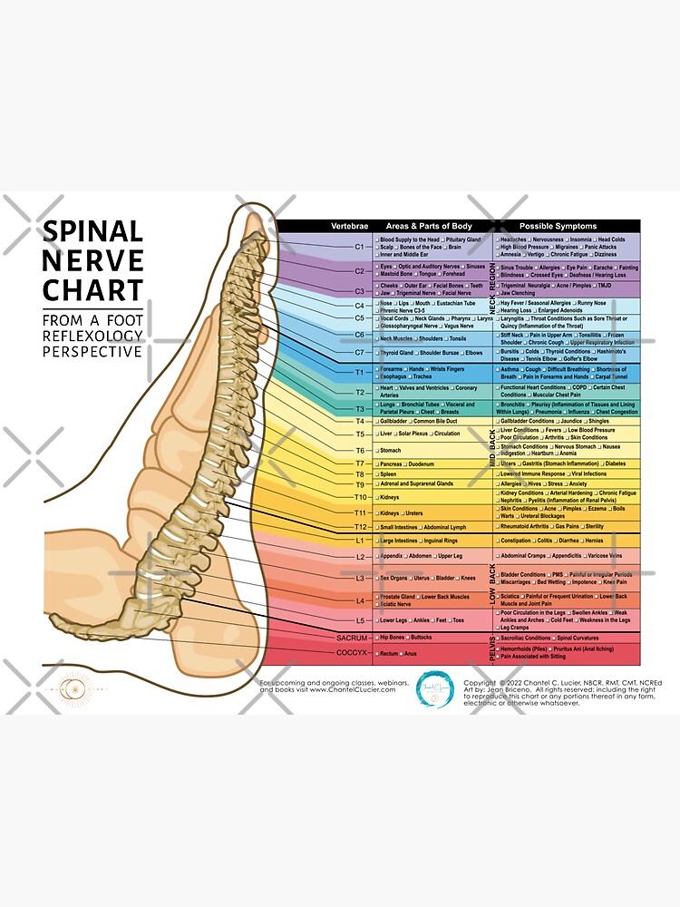 "Foot Reflexology Chakra Spinal Nerve Chart" Sticker for Sale by ...