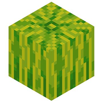 "Melon Block Minecraft Block Icon" Sticker for Sale by Kubala Designs ...