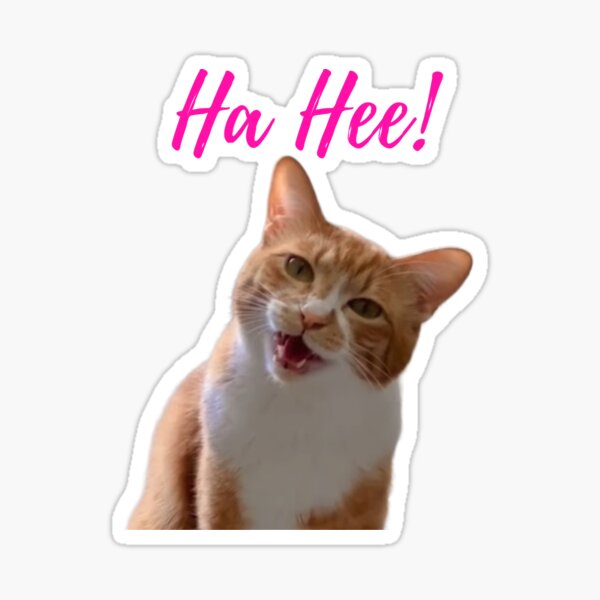 "Musical Cat Meme - Trend Musical Cat Design Ha Hee!" Sticker for Sale ...