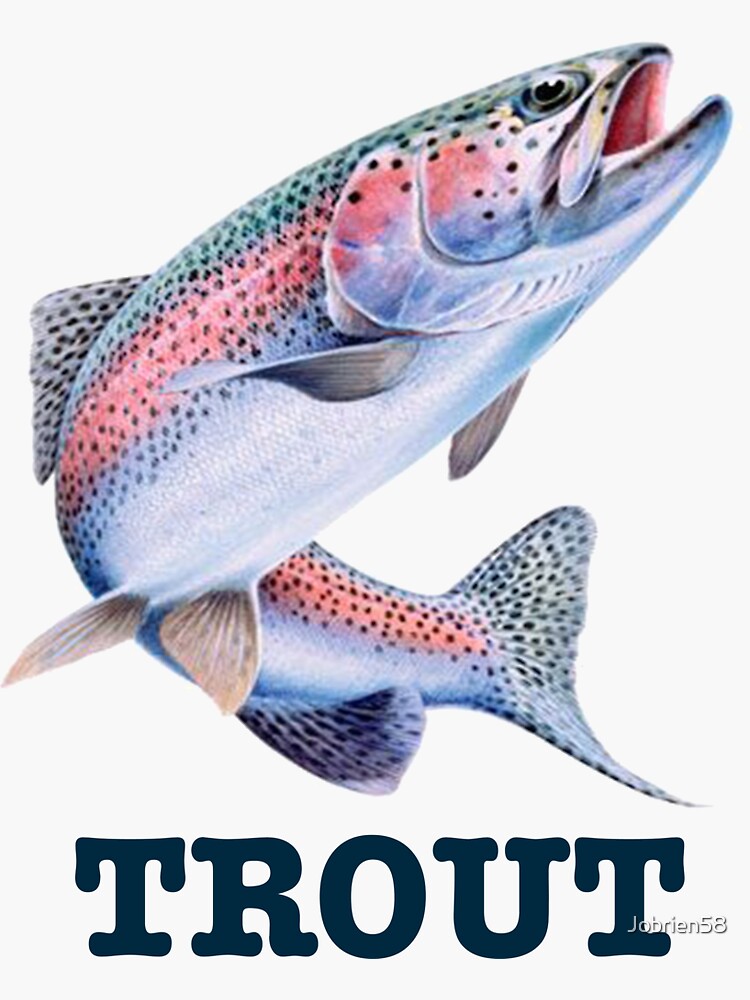 "Trout, Fishing, Design, Comic, " Sticker for Sale by Jobrien58 | Redbubble