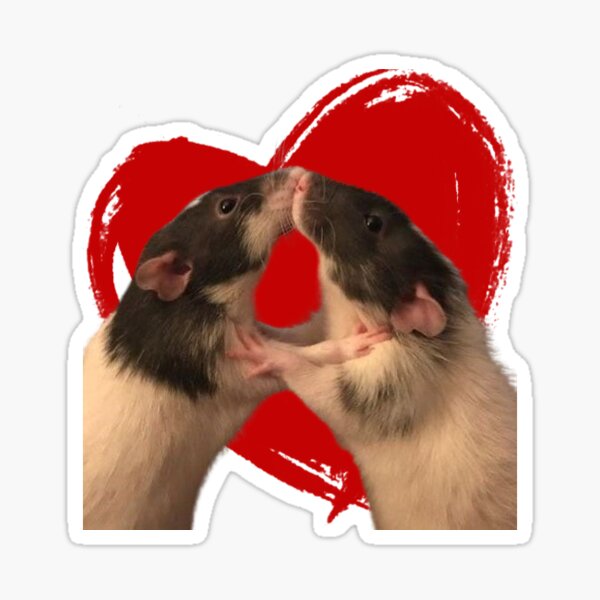 "Two rats in love" Sticker for Sale by svvp | Redbubble