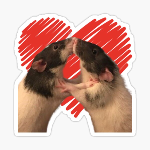 "Cutest rat couple" Sticker for Sale by svvp | Redbubble