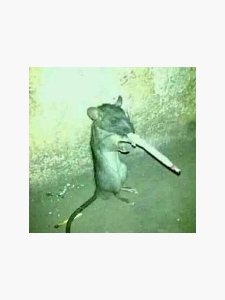 "Smoking Rat" Sticker for Sale by TiredFanta | Redbubble