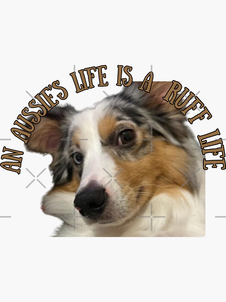 "Aussie"s Life is a Ruff Life" Sticker for Sale by DreamersMakings ...