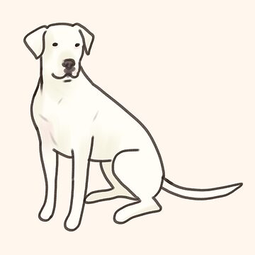 "dogo argentino dog drawing " Sticker for Sale by Artofmayara | Redbubble