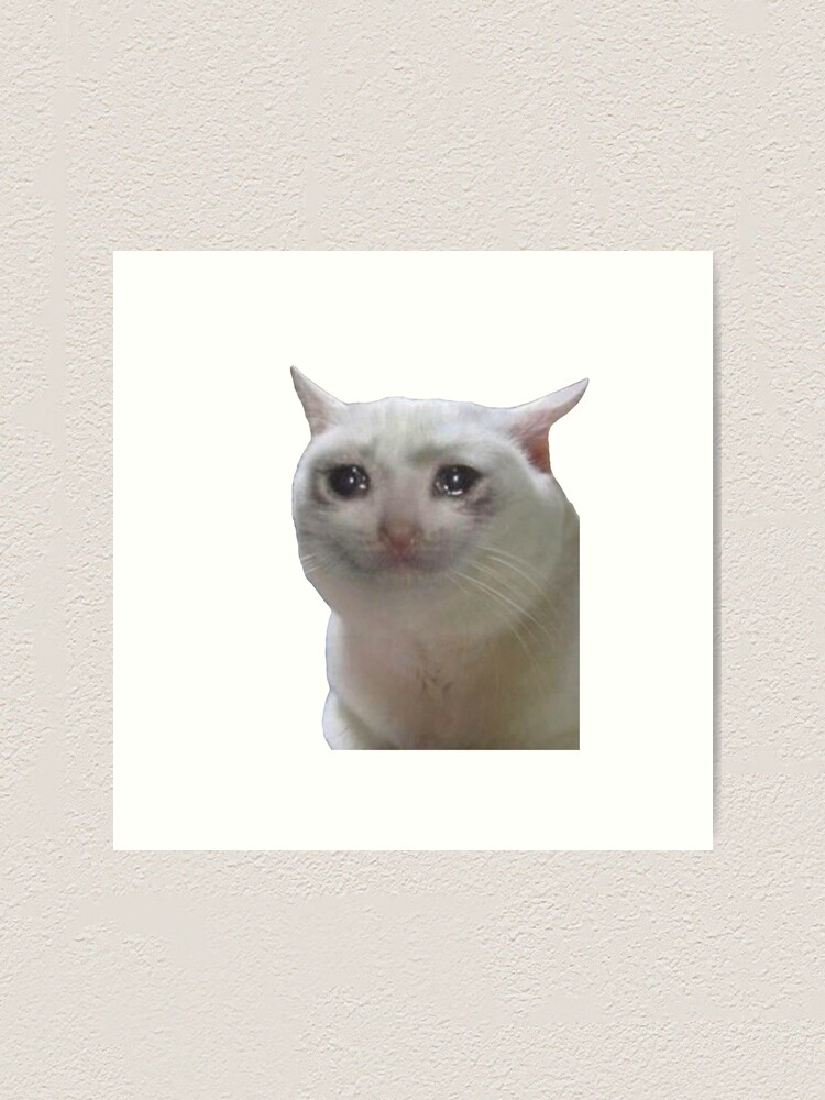 "Sad Cat Meme" Art Print for Sale by katikat | Redbubble