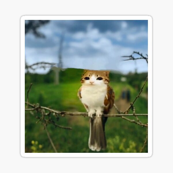 Nettspend Merch & Gifts for Sale | Redbubble