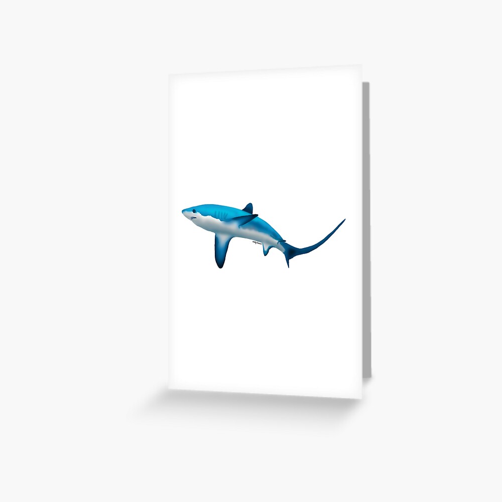 "Pelagic thresher shark" Sticker for Sale by misty-leaves | Redbubble