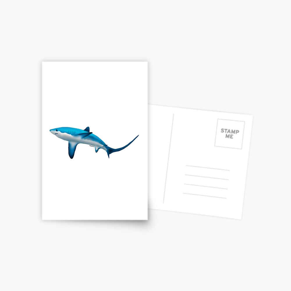 "Pelagic thresher shark" Sticker for Sale by misty-leaves | Redbubble