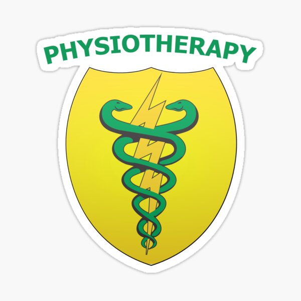 Physiotherapy Stickers | Redbubble