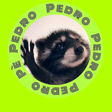 "Dance Raccoon Pedro pedro pedro pe music meme" Sticker for Sale by ...
