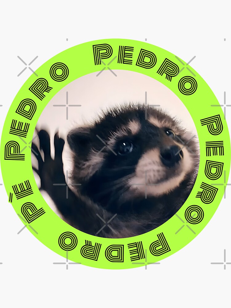 "Dance Raccoon Pedro pedro pedro pe music meme" Sticker for Sale by ...
