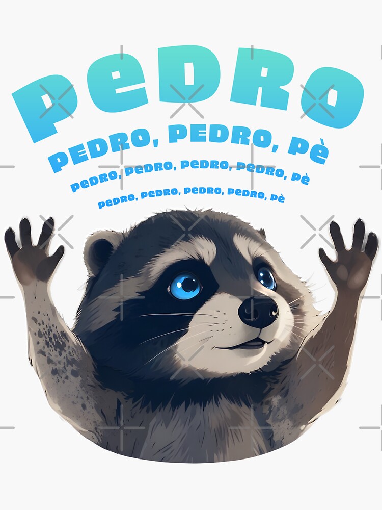 "Dance Raccoon Pedro pedro pedro pe music meme" Sticker for Sale by ...