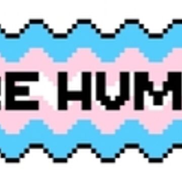 "Trans Rights Are Human Rights Shark Pixel Art" Sticker for Sale by ...