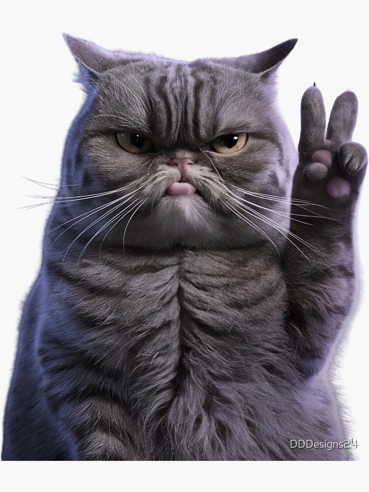 Grumpy Cat Transparent Background