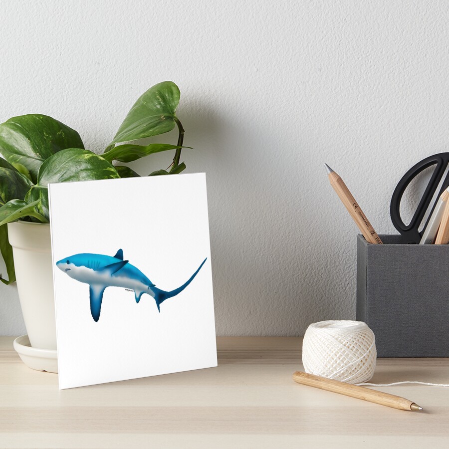 "Pelagic thresher shark" Sticker for Sale by misty-leaves | Redbubble