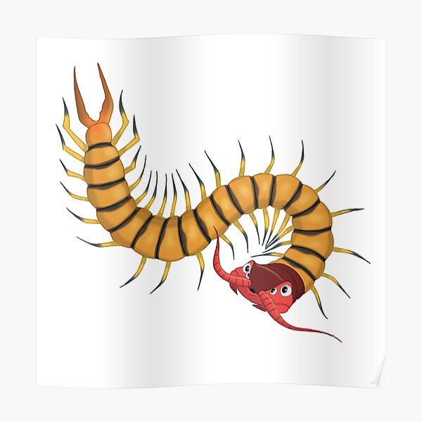 "Centipede " Poster for Sale by bmuzz | Redbubble