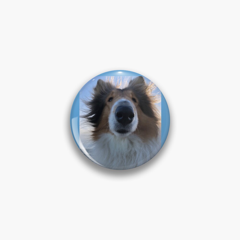 "Edi Snoot" Sticker for Sale by Deannie0812 | Redbubble