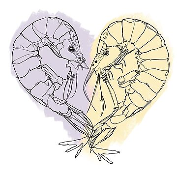 "Lover prawn " Sticker for Sale by ArtDjevel | Redbubble