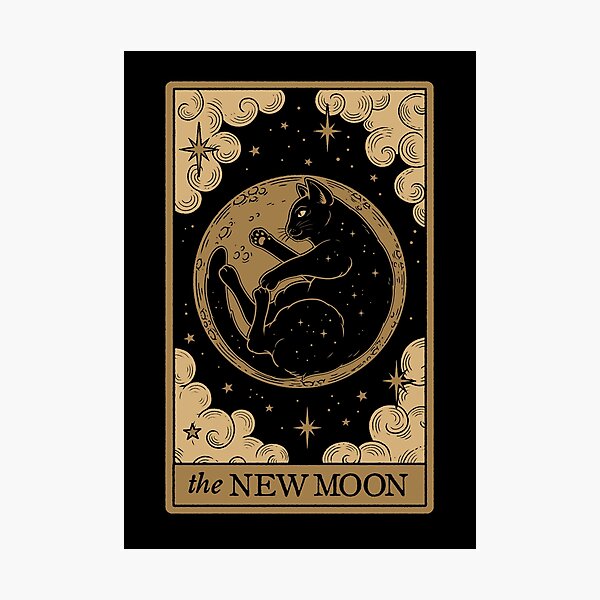 "The New Moon - Meow Phases" Photographic Print for Sale by ...