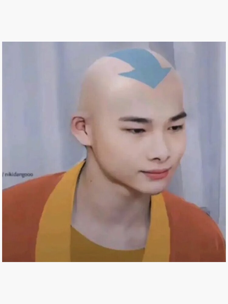 "Niki Enhypen Avatar the last airbender meme" Sticker for Sale by MarTiny2000 | Redbubble