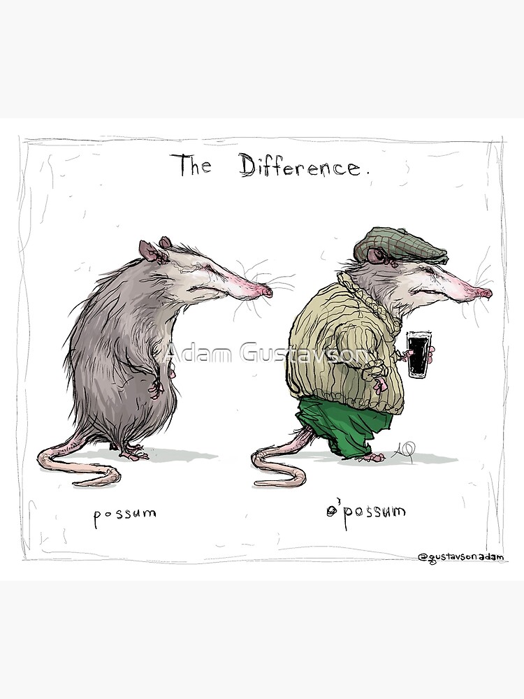 "Possum O'Possum" Poster for Sale by AdamGustavson | Redbubble