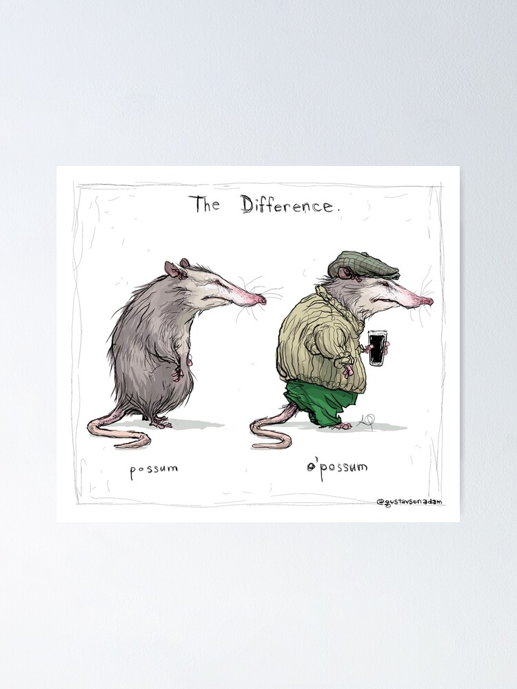 "Possum O'Possum" Poster for Sale by AdamGustavson | Redbubble