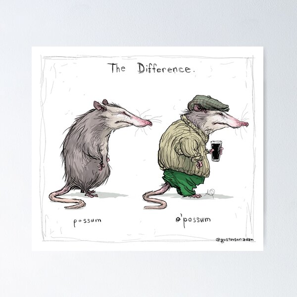 "Possum O'Possum" Poster for Sale by AdamGustavson | Redbubble
