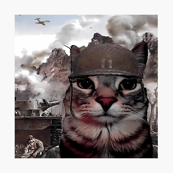 Ptsd Cat Memes Milk Trauma Cat Meme By Sdesethor :) Memedroid