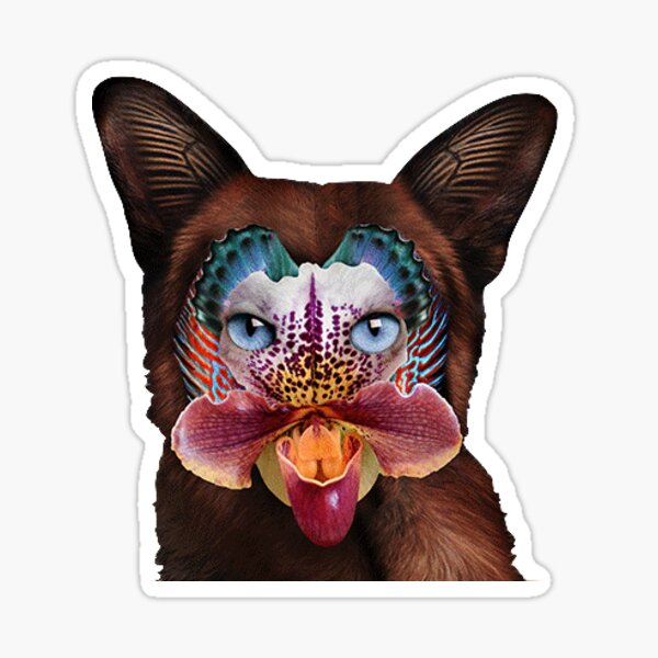 Cat Stickers | Redbubble