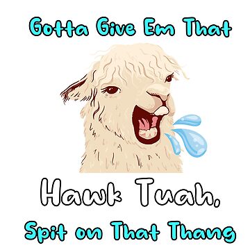"Hawk Tuah Spit On That Thing Girl Meme " Sticker for Sale by ...