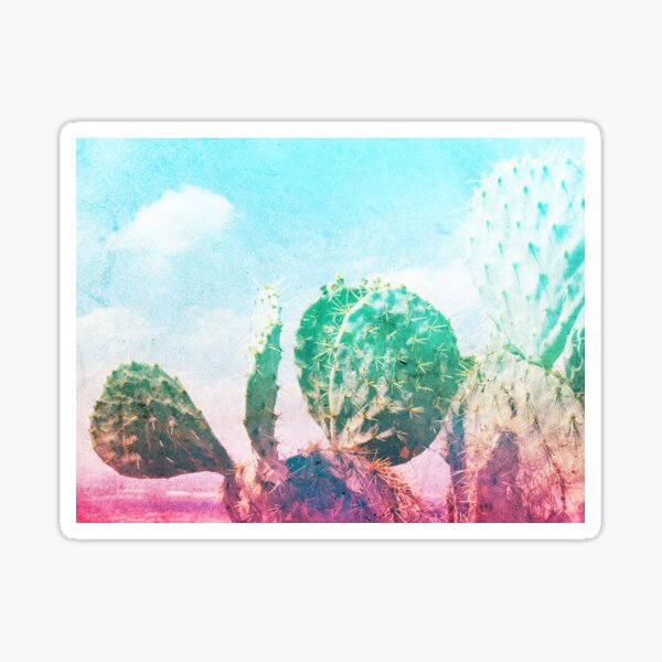 "Nopal cactus plant and color gradient photograph" Sticker for Sale by ...